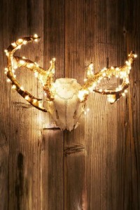 Indoor String Light Ideas: Part 2 of 3 - Birddog Lighting